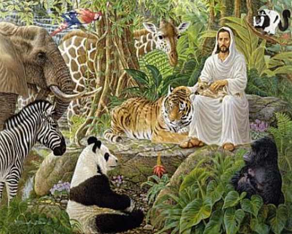 Paws for prayer: 7 amazing pictures of Jesus with animals - Christian Today