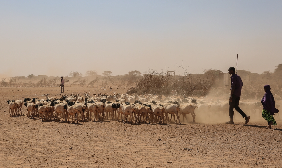 \'Please help stop these people starving to death\' Archbishop aide ...