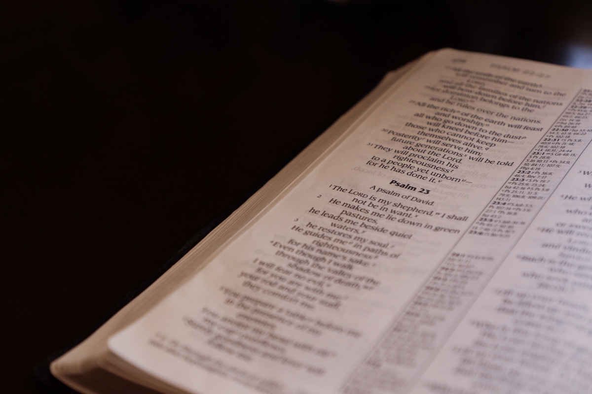 A Bible is all that survived horror arson attack on Christians ...