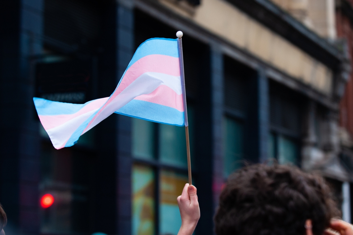 Teachers must be free to use biological gender and pronouns, says ...