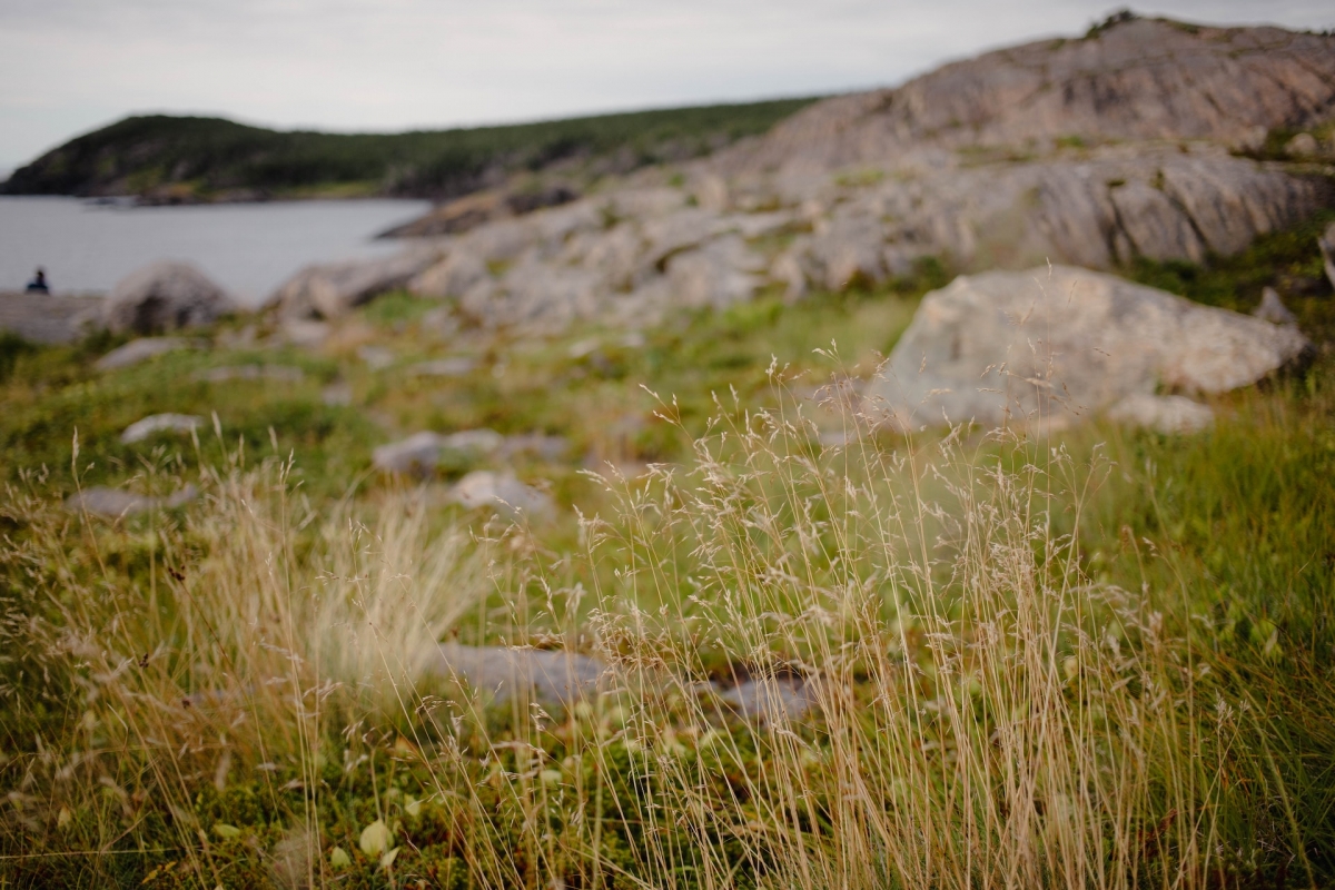 The first Christians in North America - Christian Today