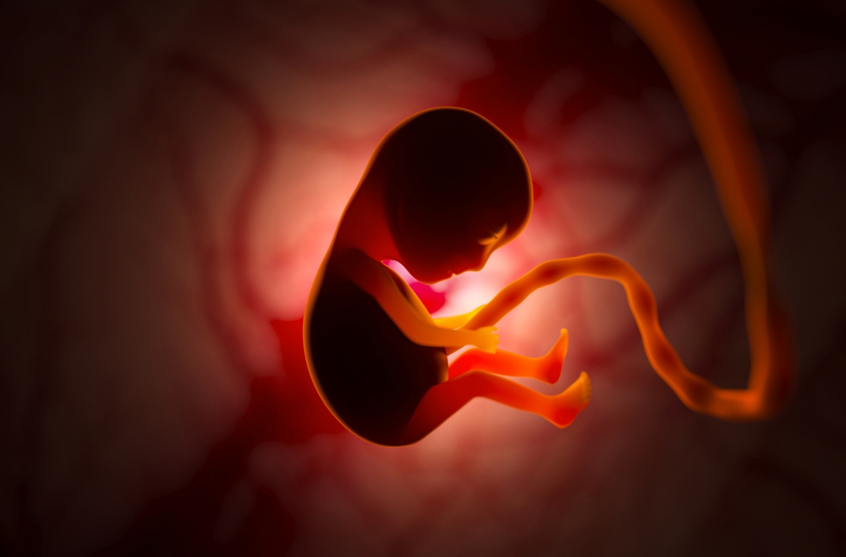 Bill on fetal sentience has first reading in House of Lords - Christian ...