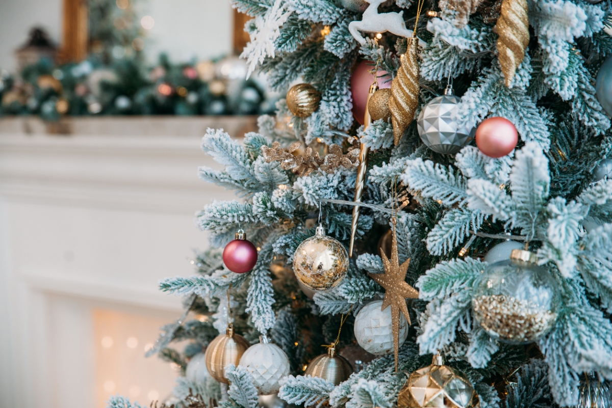 The story of the Christmas tree - Christian Today