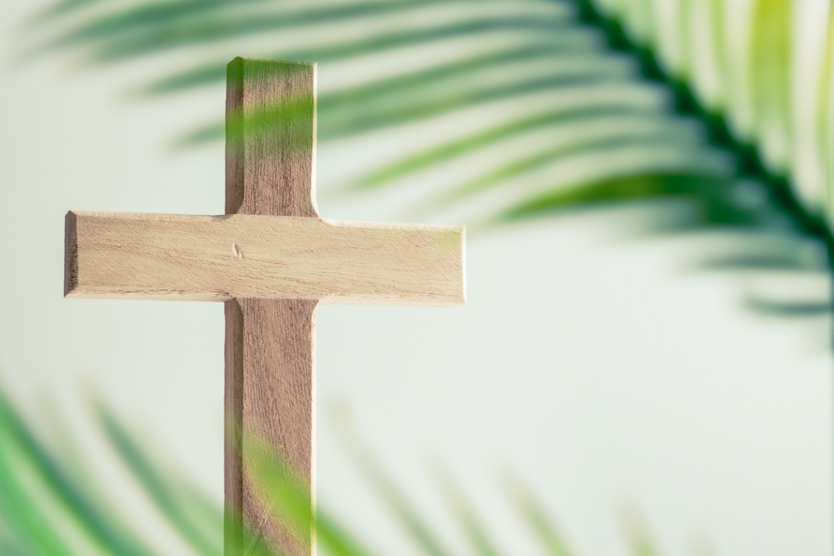 Palm Sunday: the triumphal entry and its meaning for us today ...