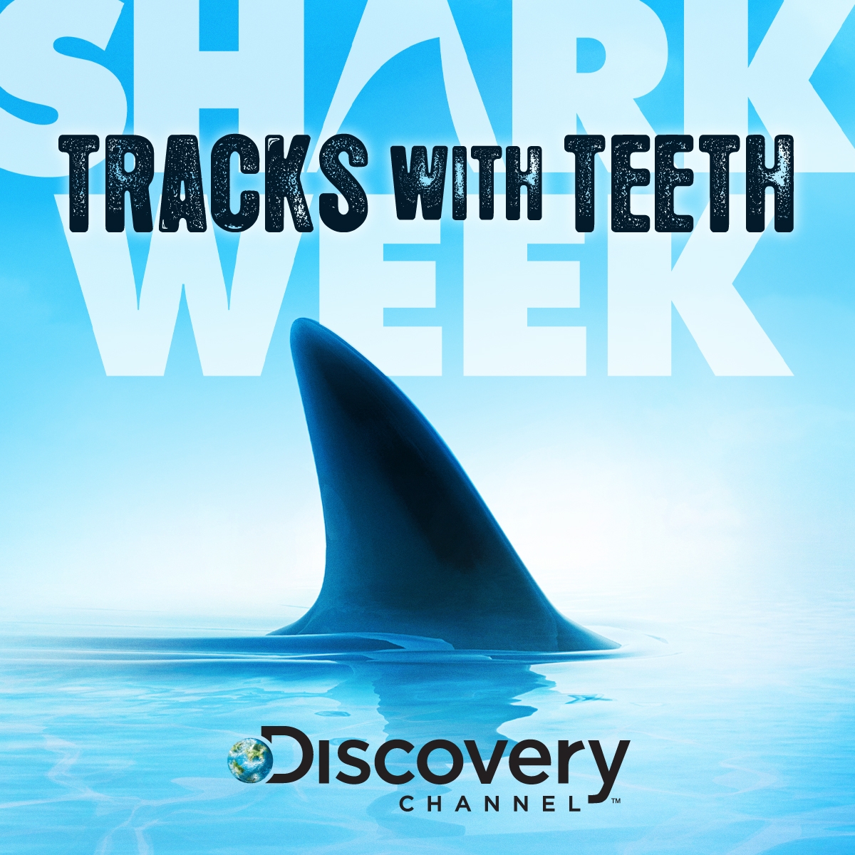Shark Week 2014: Everything you need to know about the 13 exciting ...