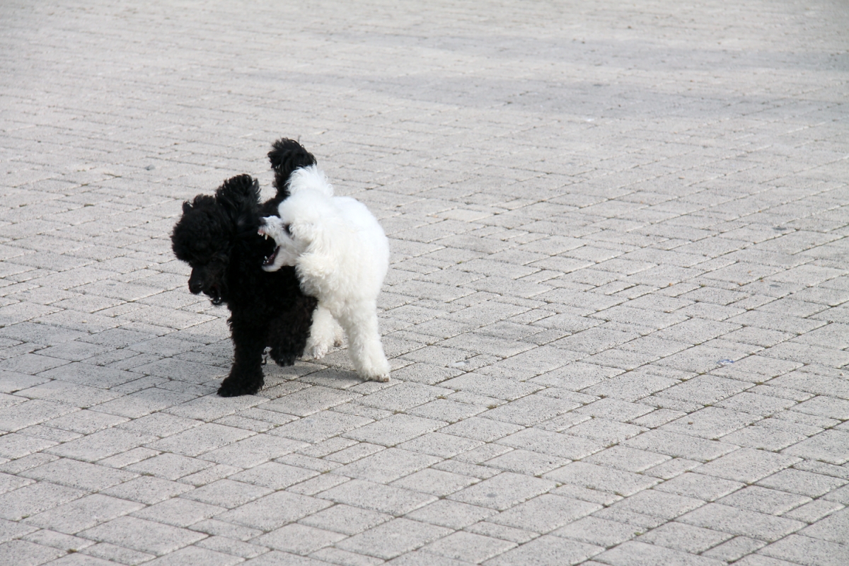 How to argue well - Christian Today