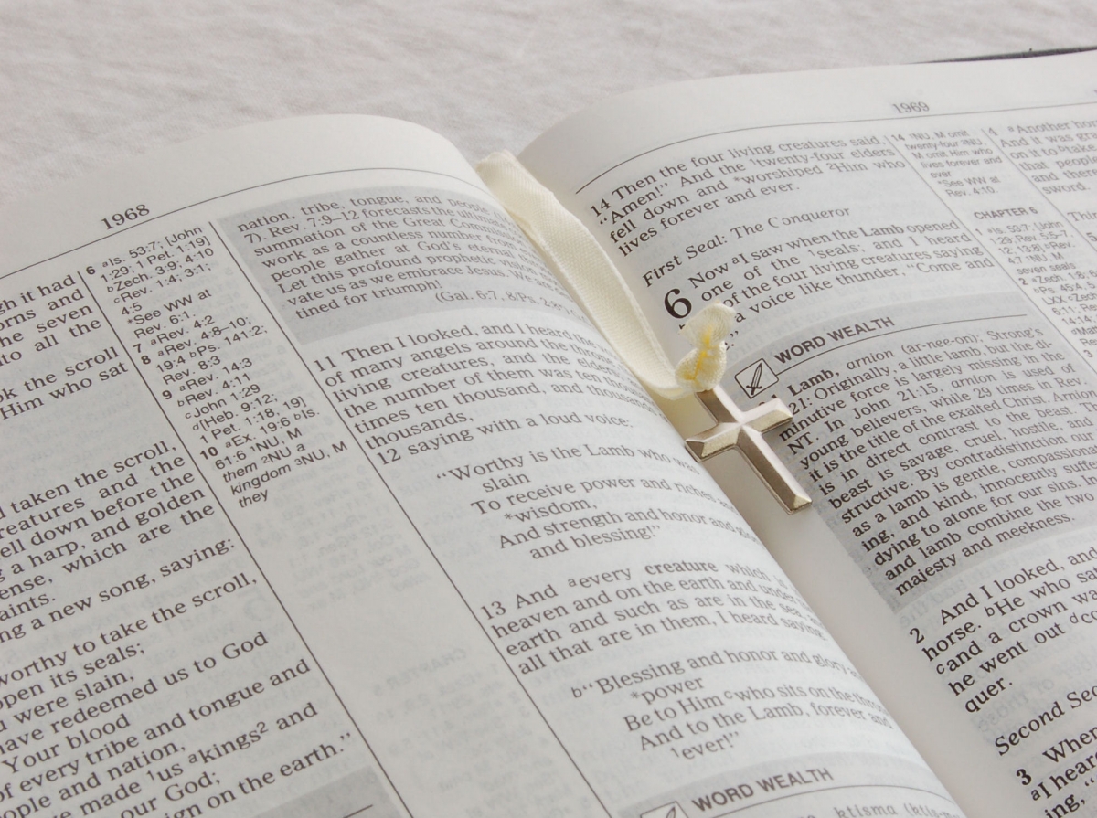 When a woman lost a treasured family Bible, it turned up in the most ...