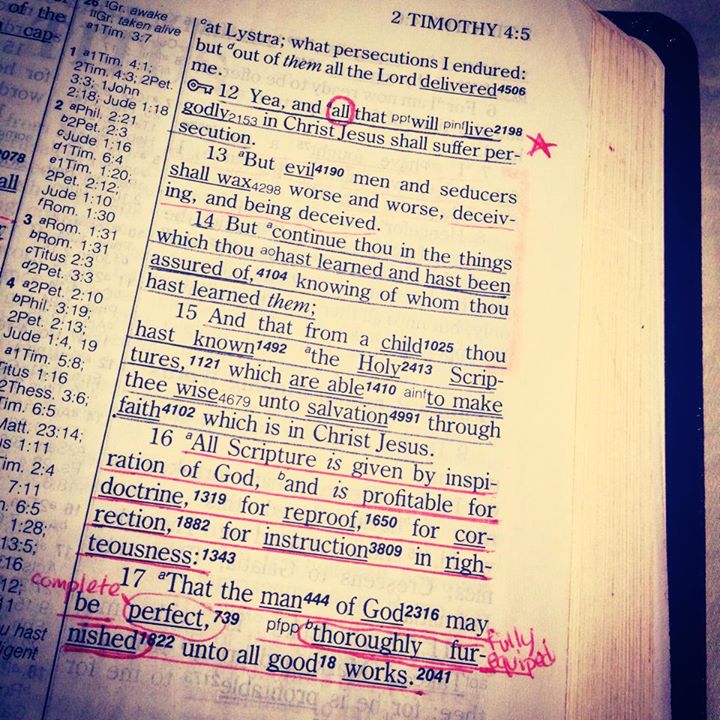 Egypt: 1.6 million scripture leaflets distributed since ISIS beheaded ...