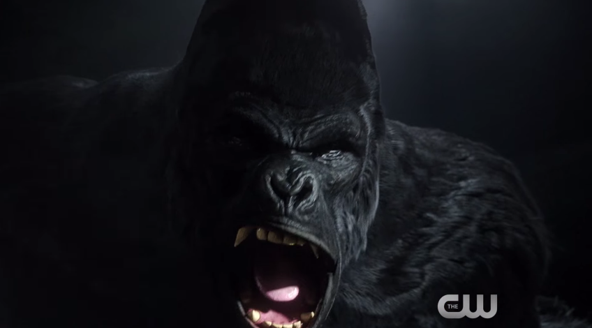 \'The Flash\' season 1 spoilers: Reverse Flash unleashes Grodd in ...