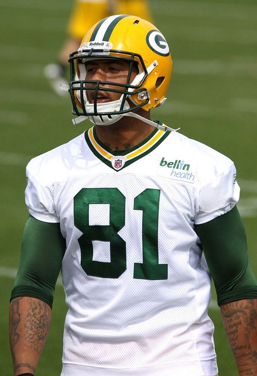 Green Bay Packers NFL 2015 roster news: Andrew Quarless sidelined for ...