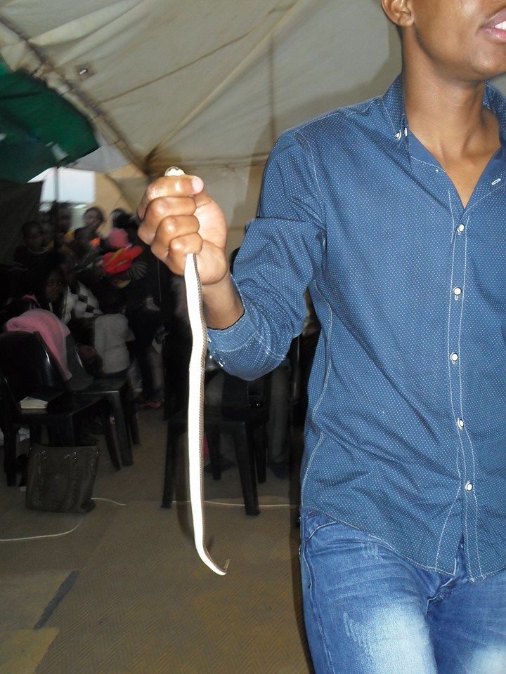 Hunt is on for pastor who force fed snakes to his congregation ...