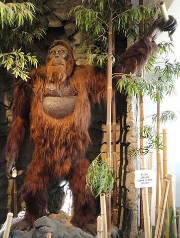 The bigger the better? Not in the case of this 10-foot tall ape called ...