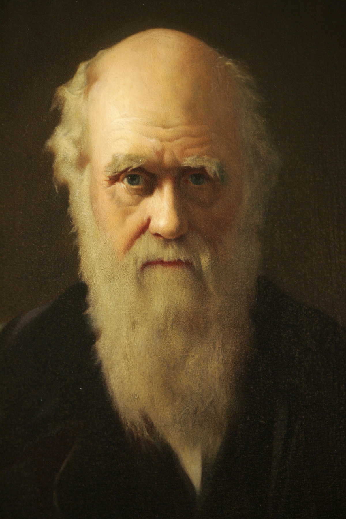 Charles Darwin: Atheist? Christian? Agnostic? - Christian Today
