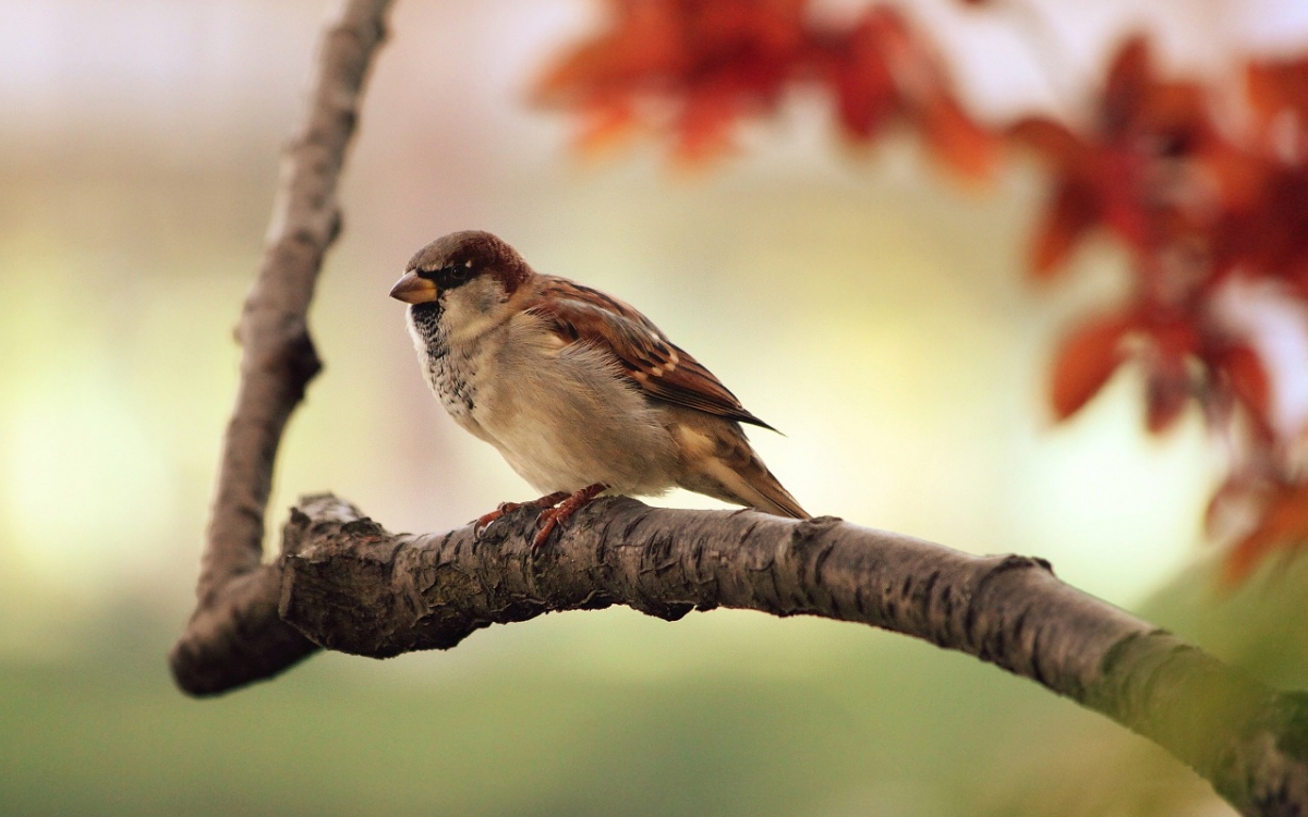 8 Bible verses to assure you that God really is watching over you ...