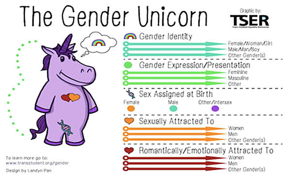 \'Gender Unicorn\' cartoon slammed for brainwashing children into ...